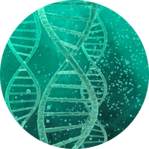 Genetic Discrimination Quick Guide | Triage Cancer